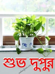 Bangla Subho Dupur Sms Photo Pic « Good Noon Bengali Poem